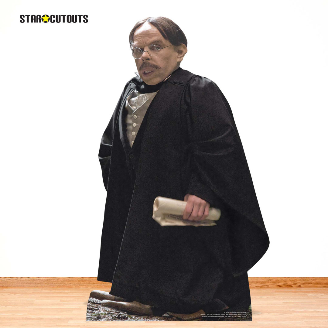 Professor Filius Flitwick Harry Potter Warwick Davis Star Mini ...