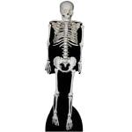Skeleton Halloween Lifesize Cardboard Cutout 189cm | Partyrama