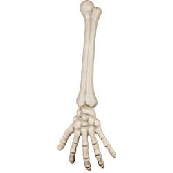 Halloween Props | Partyrama