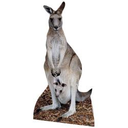 Animal Life Size Cardboard Cutouts | Partyrama