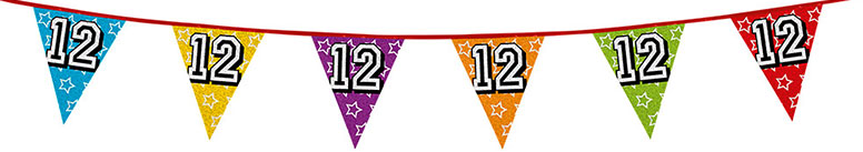 Age 12 Holographic Foil Pennant Bunting 8m | Partyrama