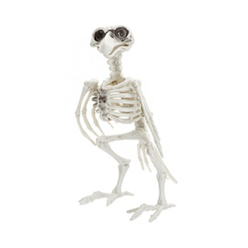 Crow Skeleton Halloween Plastic Prop Decoration 19cm | Partyrama
