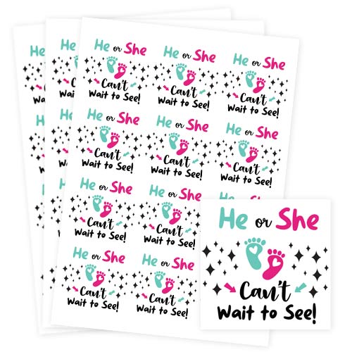 Can't Wait to See Gender Reveal Square Stickers 65mm - Sheet of 12 ...