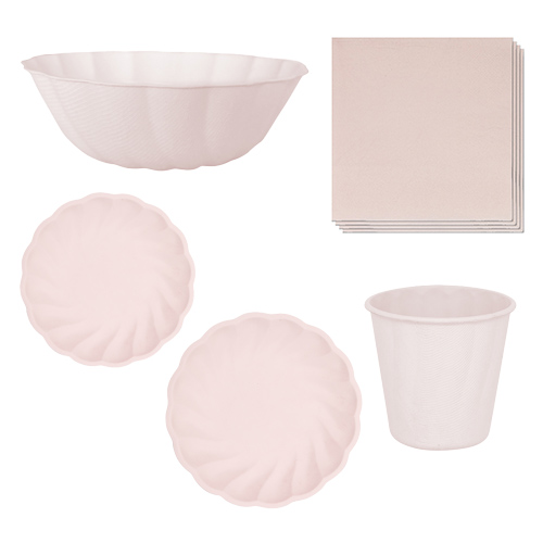 Dusty Pink Round Vert Decor Compostable 6 Person Party Pack | Partyrama