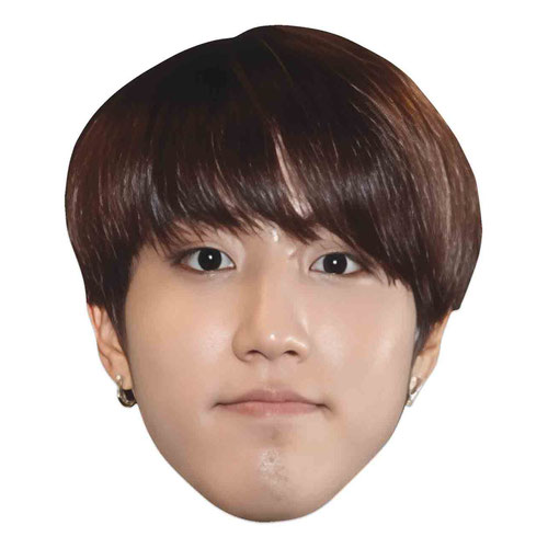 Han Stray Kids K-Pop Cardboard Face Mask | Partyrama
